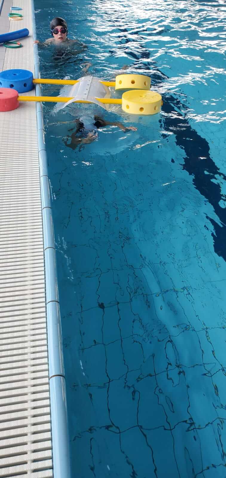 Cycle natation en CM – Ecole St-Exupéry